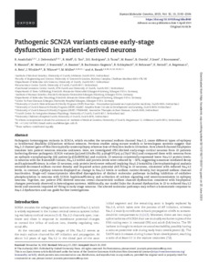 Greenwich Academic Literature Archive - Pathogenic SCN2A variants cause ...